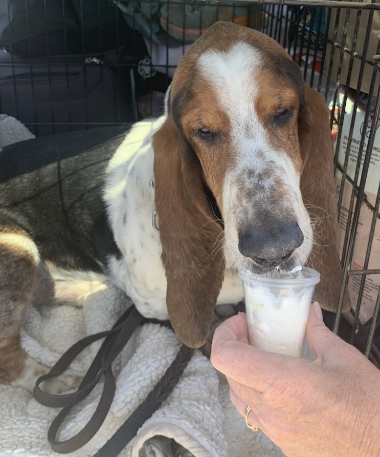 Otis' Web Page