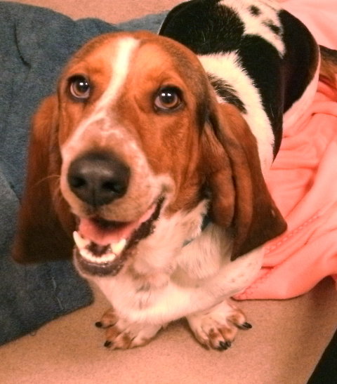 Buster Brown's Web Page