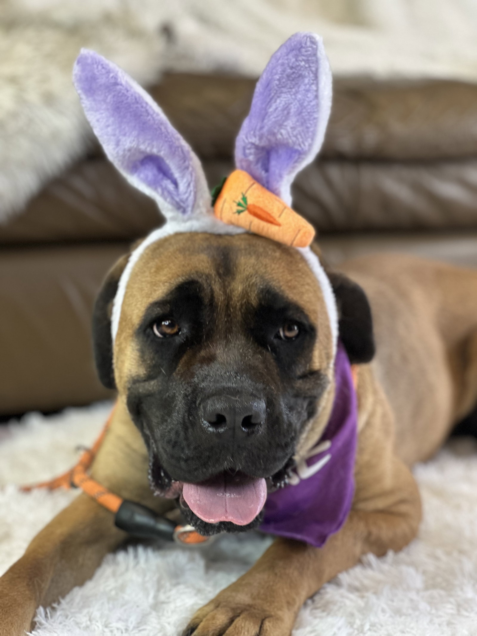 Darla's Web Page