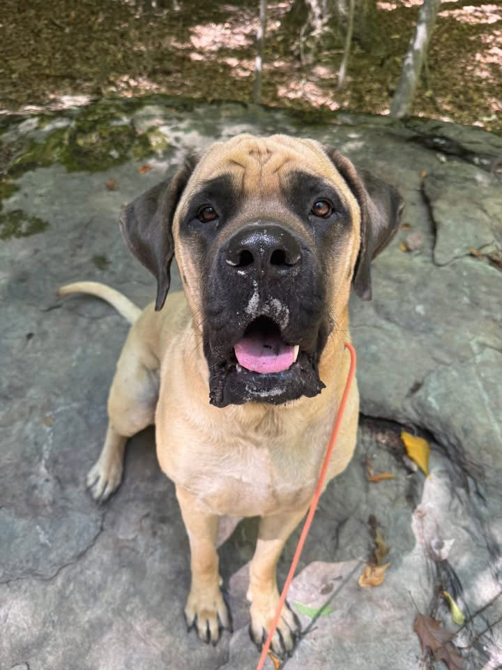 Otis' Web Page
