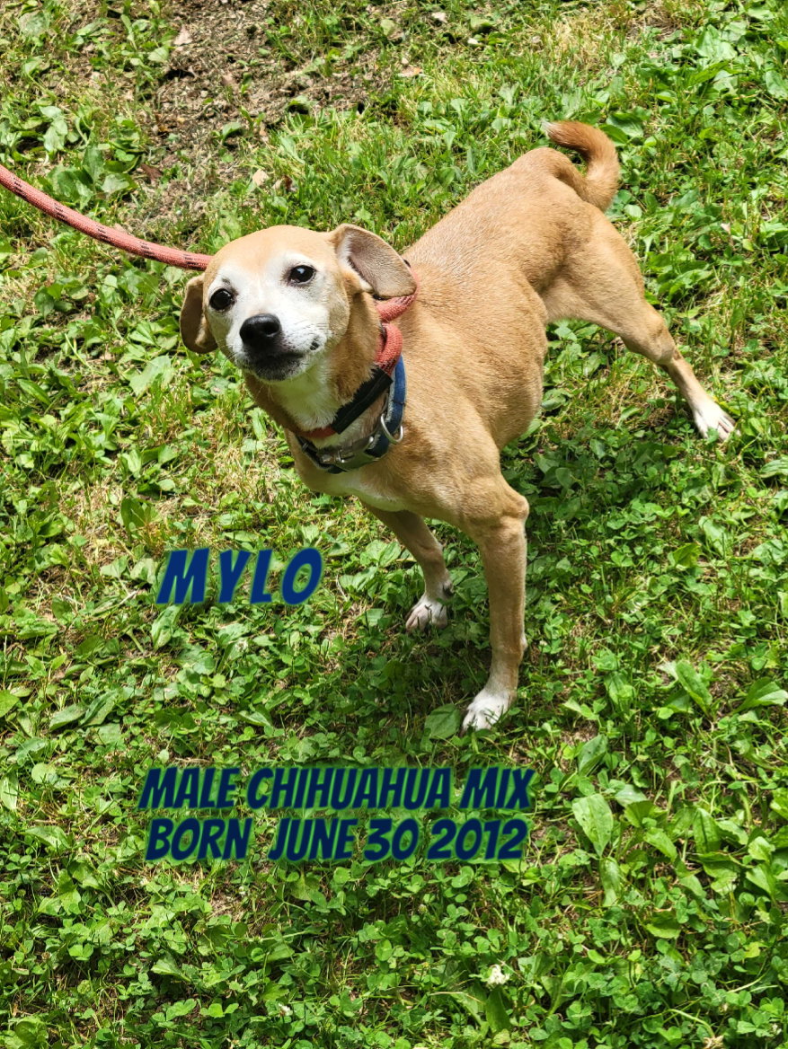 Mylo's Web Page