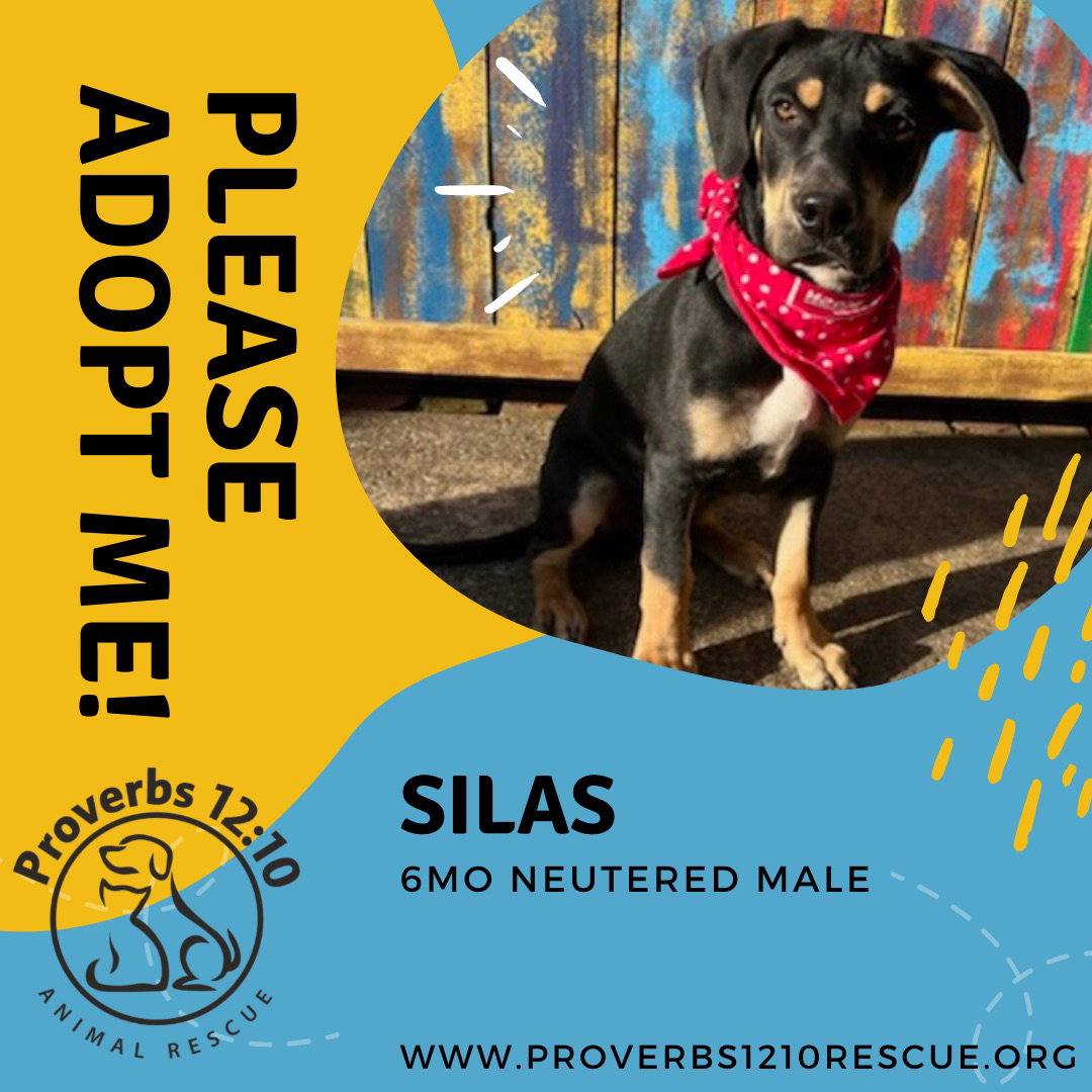 Silas' Web Page