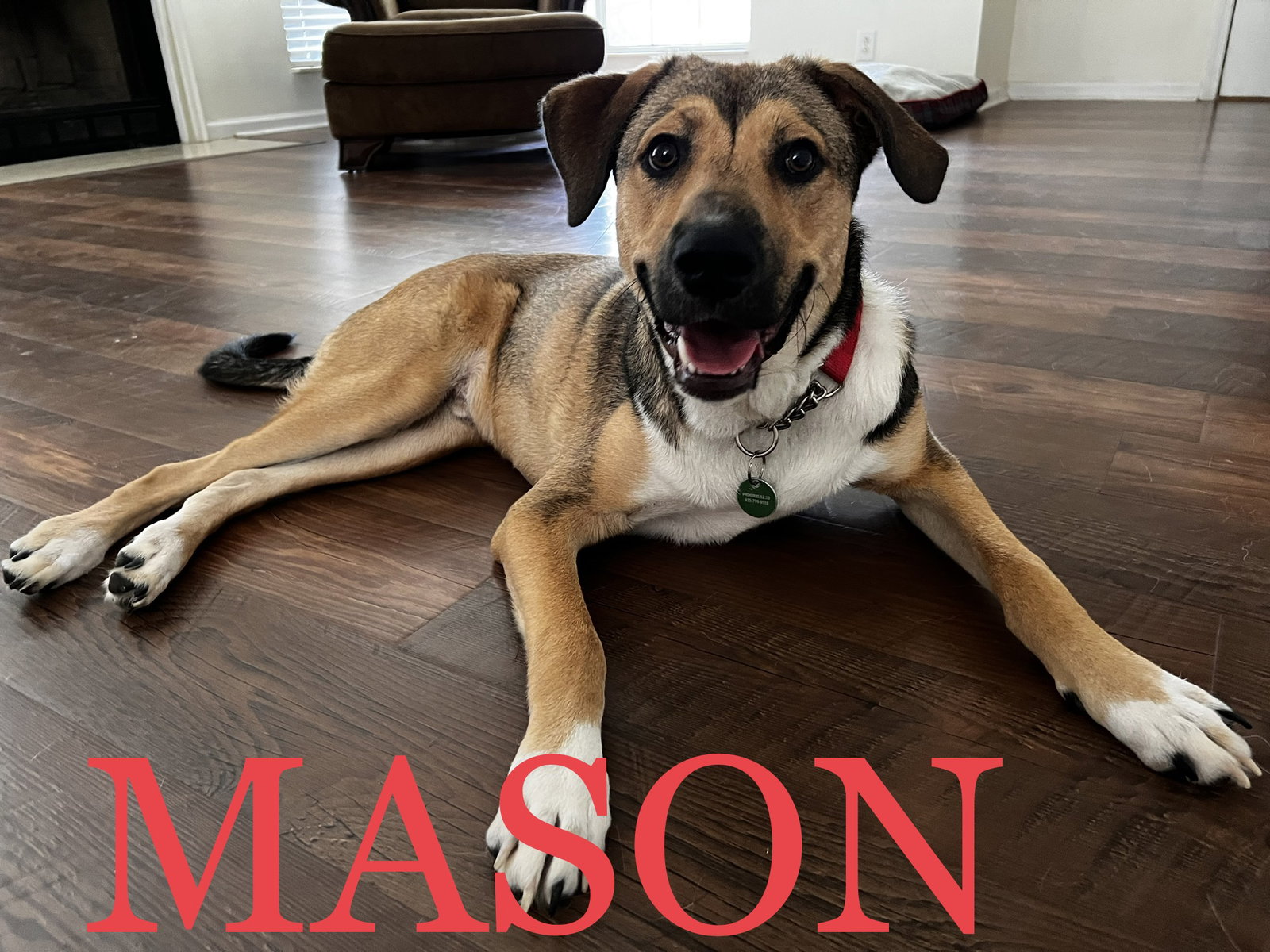 Mason's Web Page