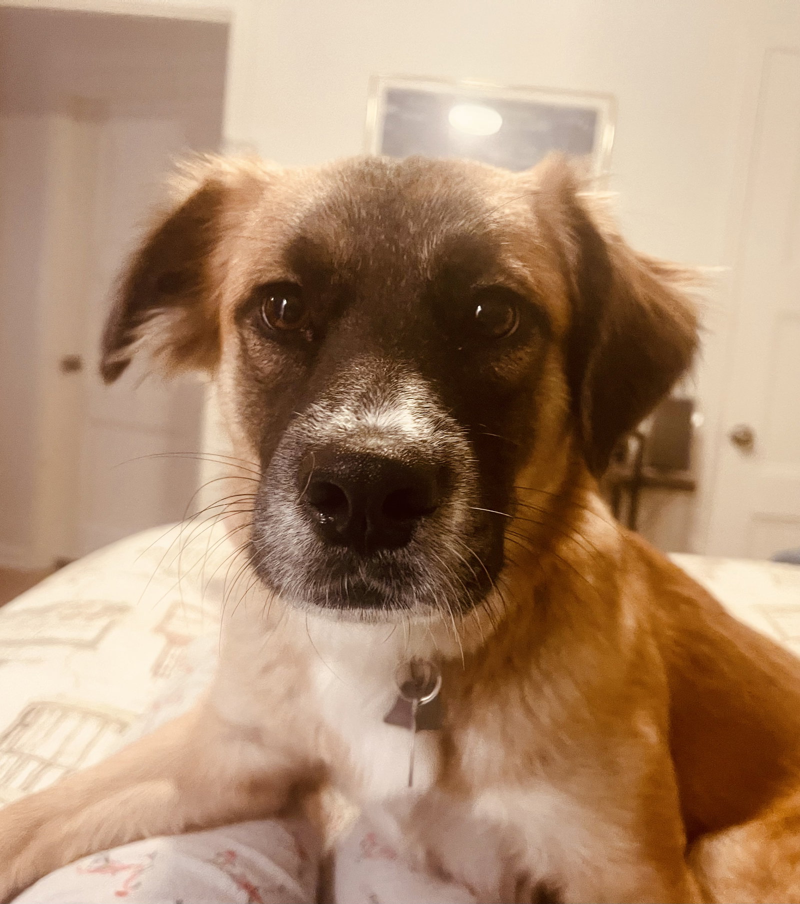 Bailey's Web Page