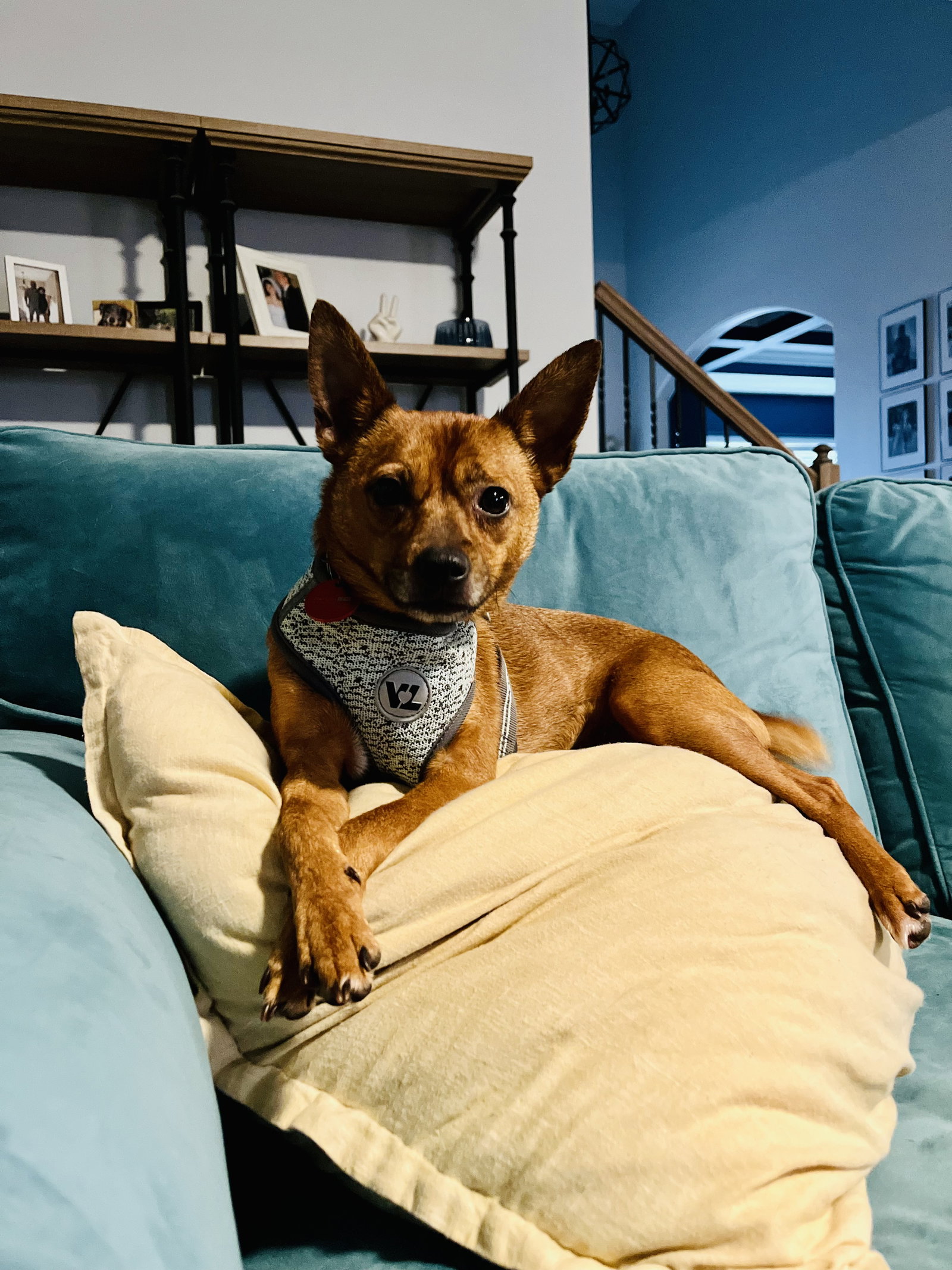 Tootles' Web Page