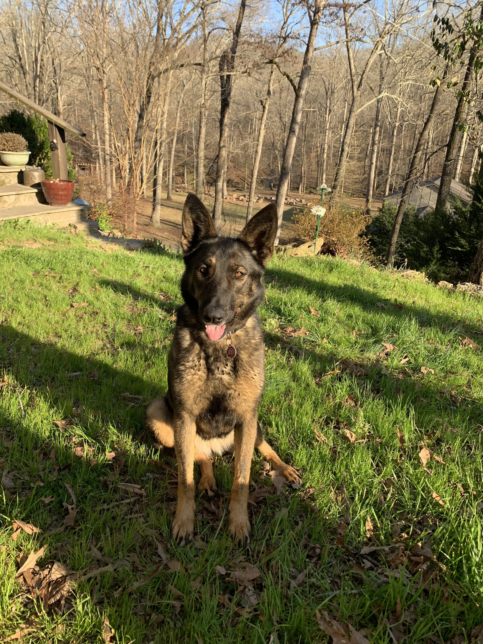 Bailey's Web Page