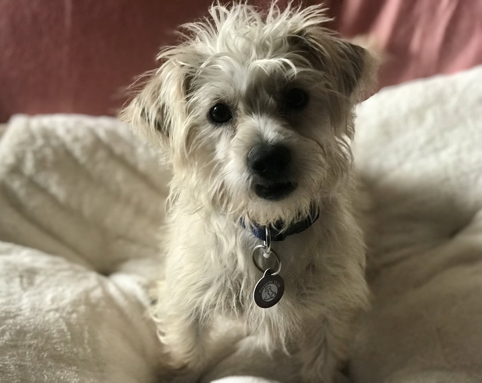 Jack's Web Page