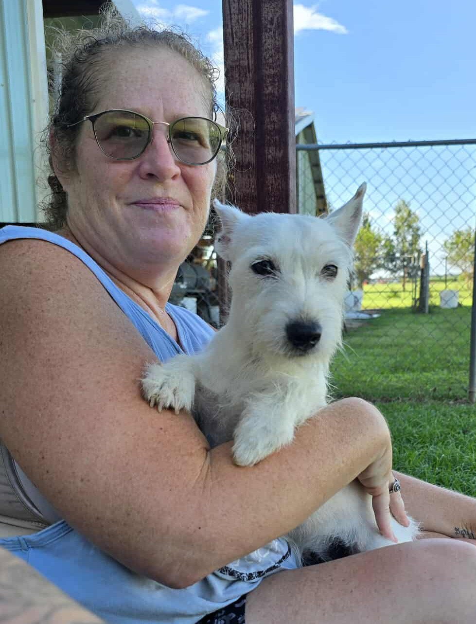 Dog for Adoption - Baby Girl - Beauty!!, a Jack Russell Terrier in ...