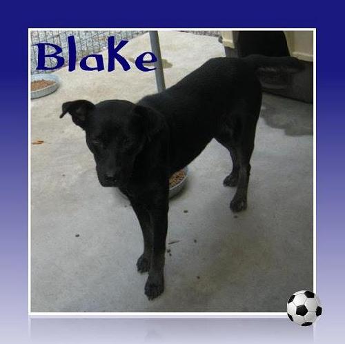 Blake's Web Page