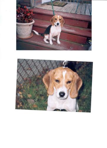 Jake's Web Page