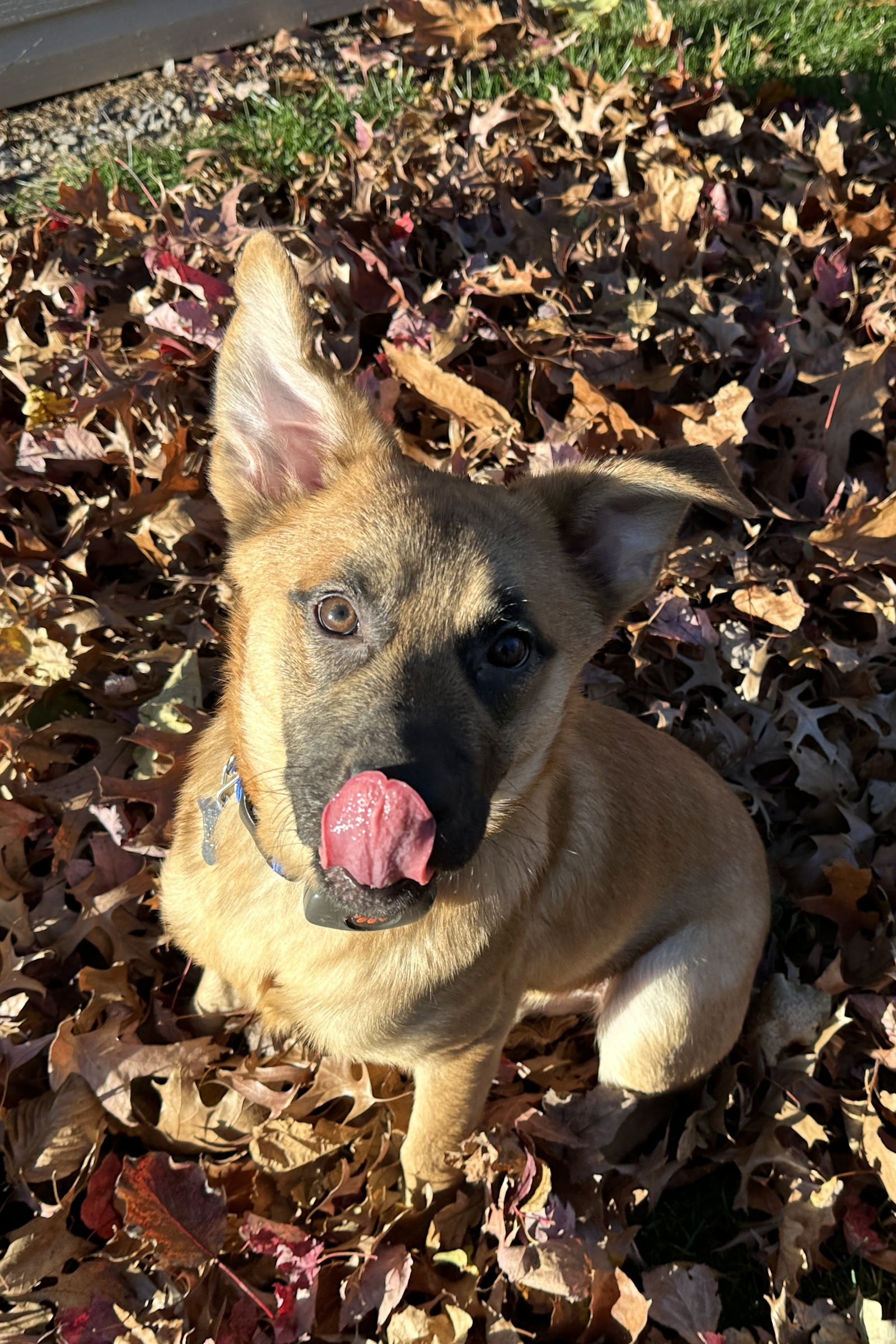 Nugget's Web Page