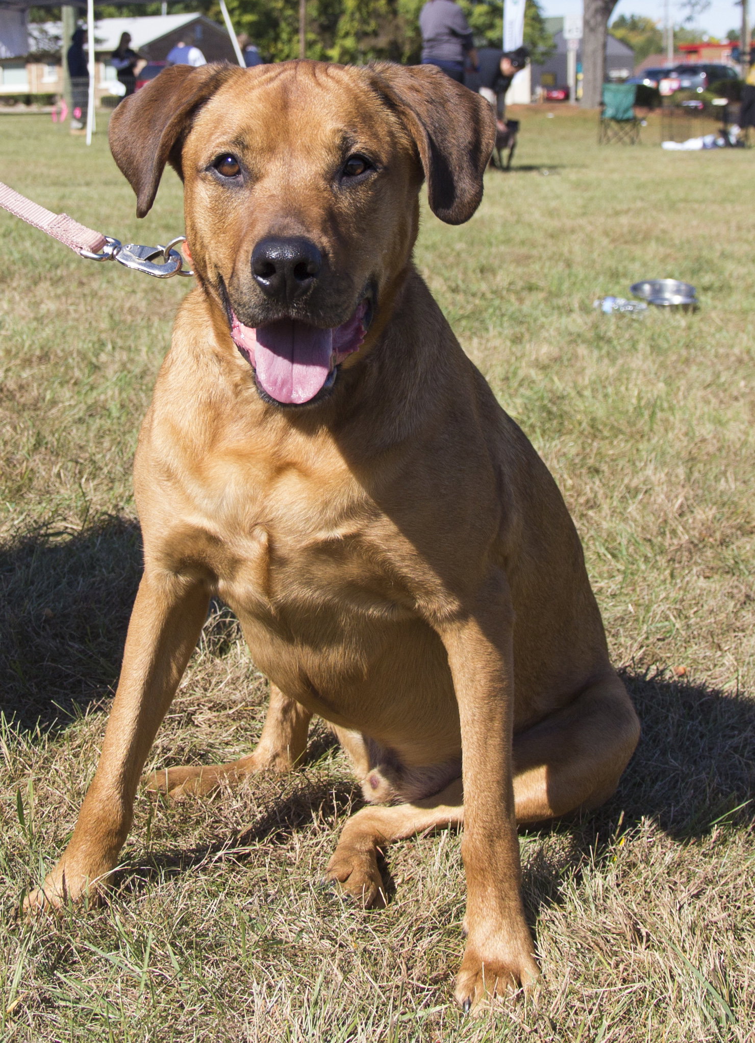 Murphy - ADOPTED 11.19.15's Web Page