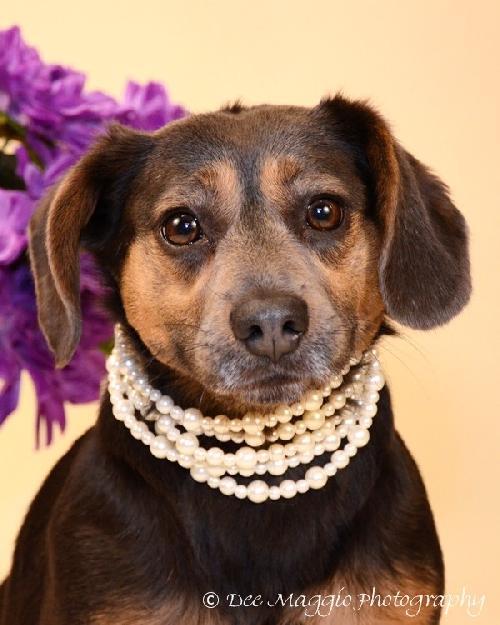 CeCe-ADOPTED 02.20.13's Web Page