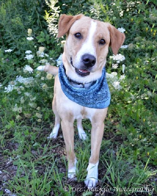 Baxter-ADOPTED 09.23.12's Web Page