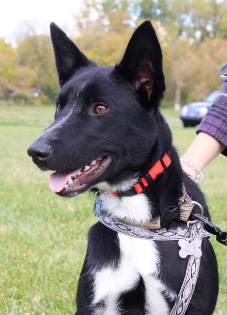 Grant-ADOPTED 12.30.12's Web Page