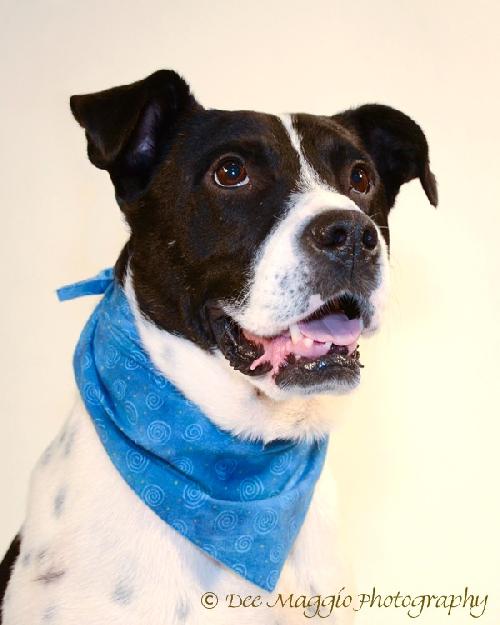 Mason-ADOPTED 07.31.13's Web Page