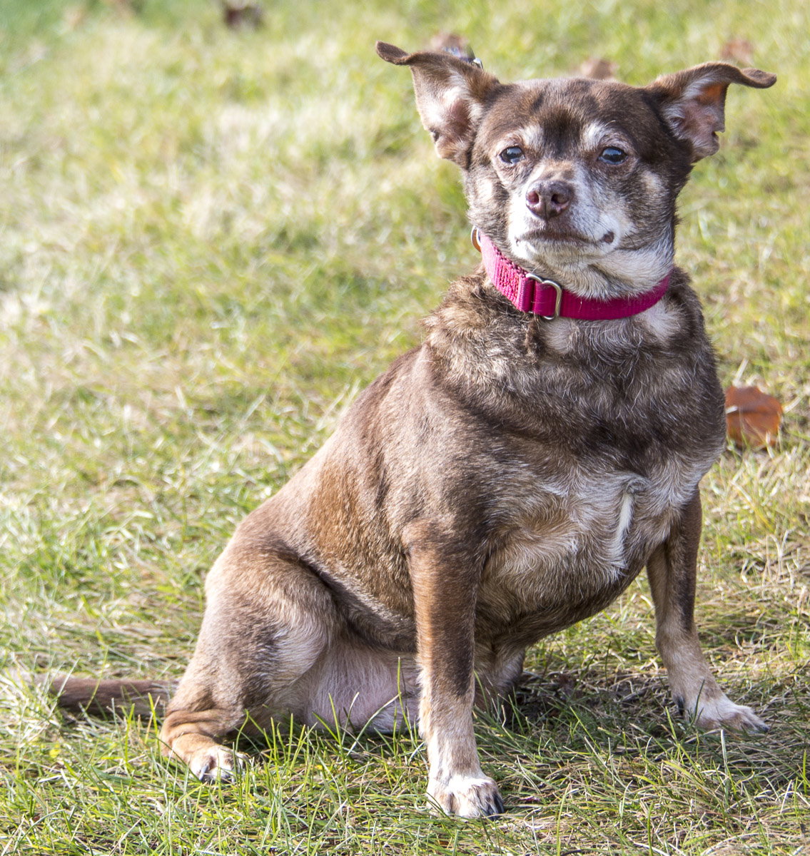 Mitzy-moo â ¥-ADOPTED - 01.25.15's Web Page