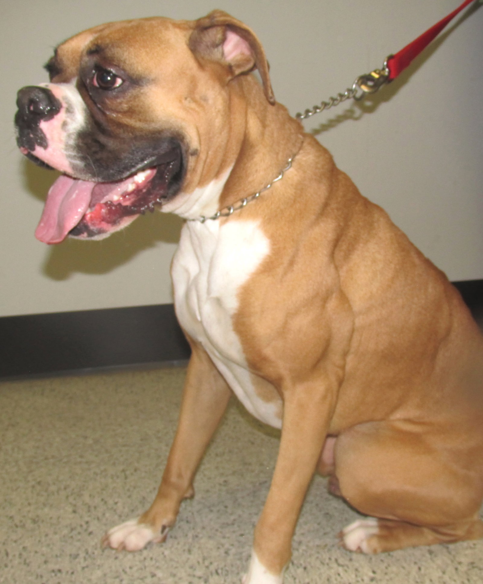 Buster Brown's Web Page
