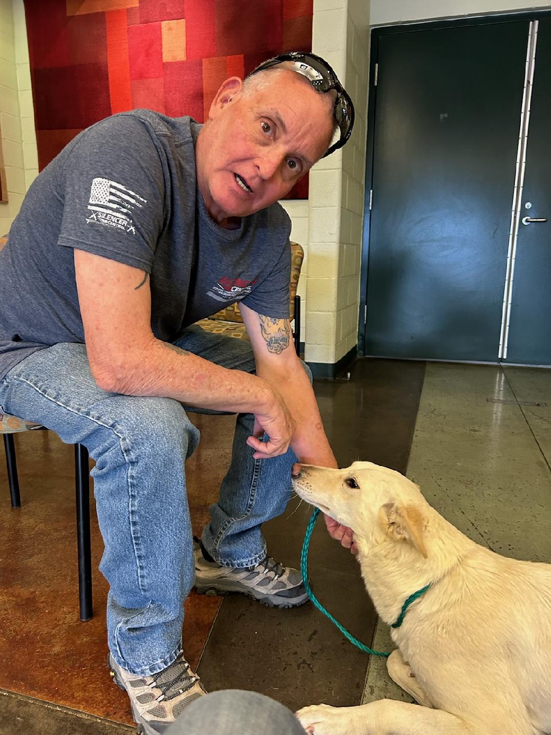 Dog for Adoption - Cindy, a German Shepherd Dog in Cave Creek, AZ ...