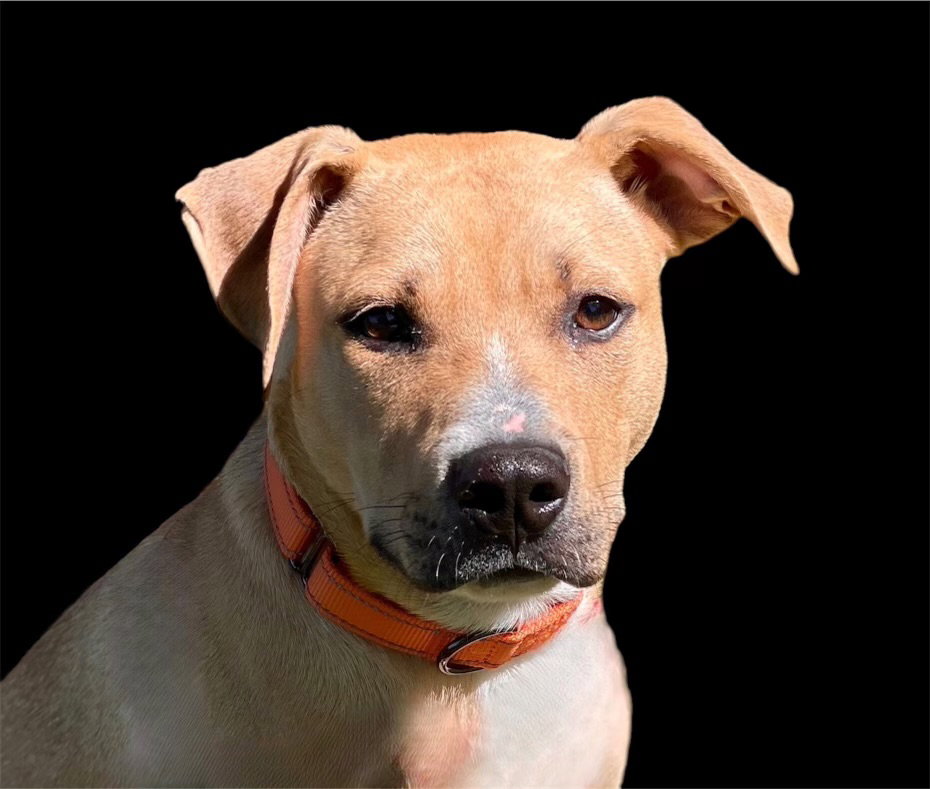 Butch's Web Page