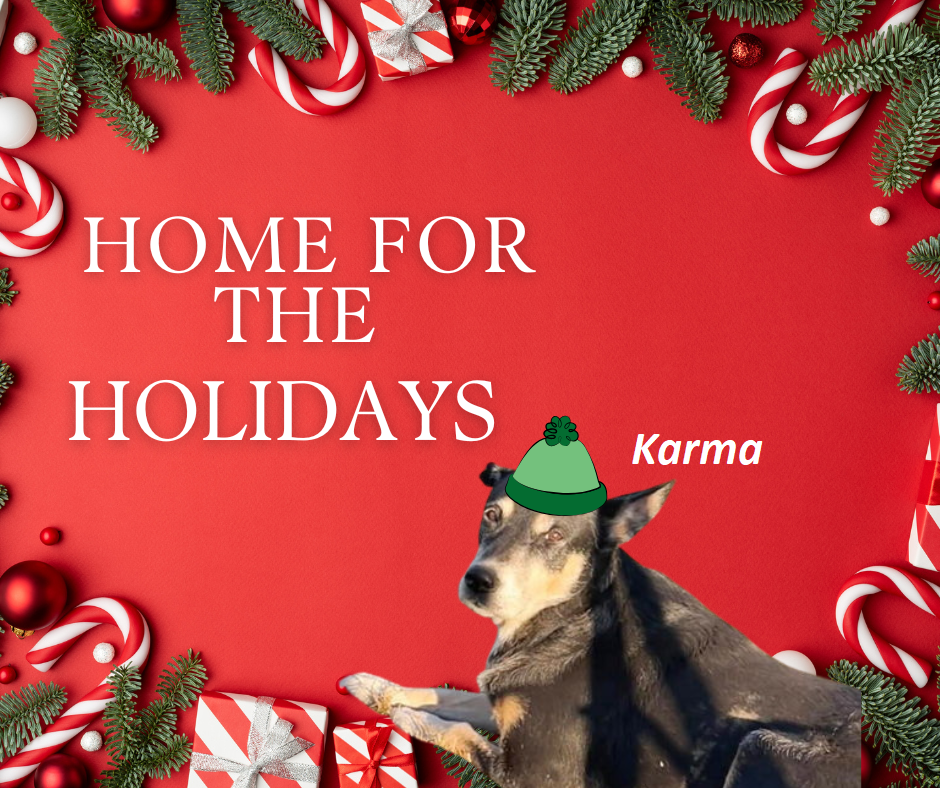 Karma-Sweet Senior Girl's Web Page