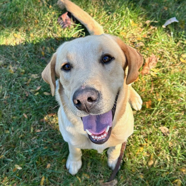 Gus' Web Page