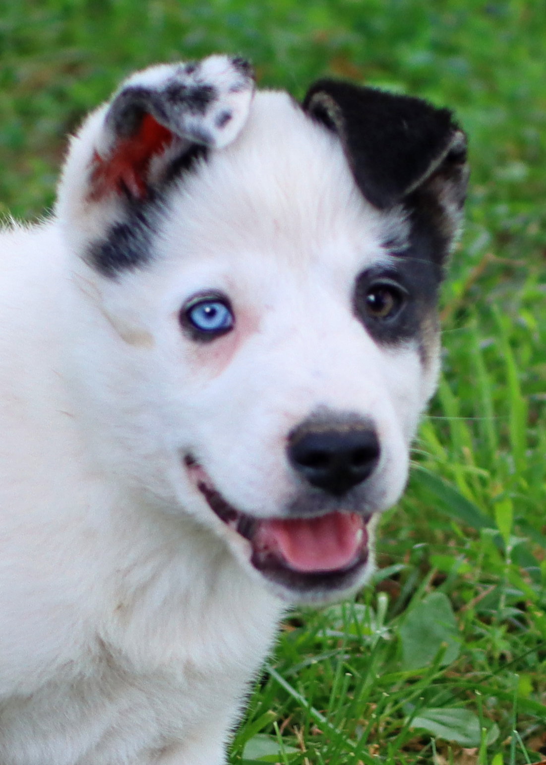 Kato's Web Page