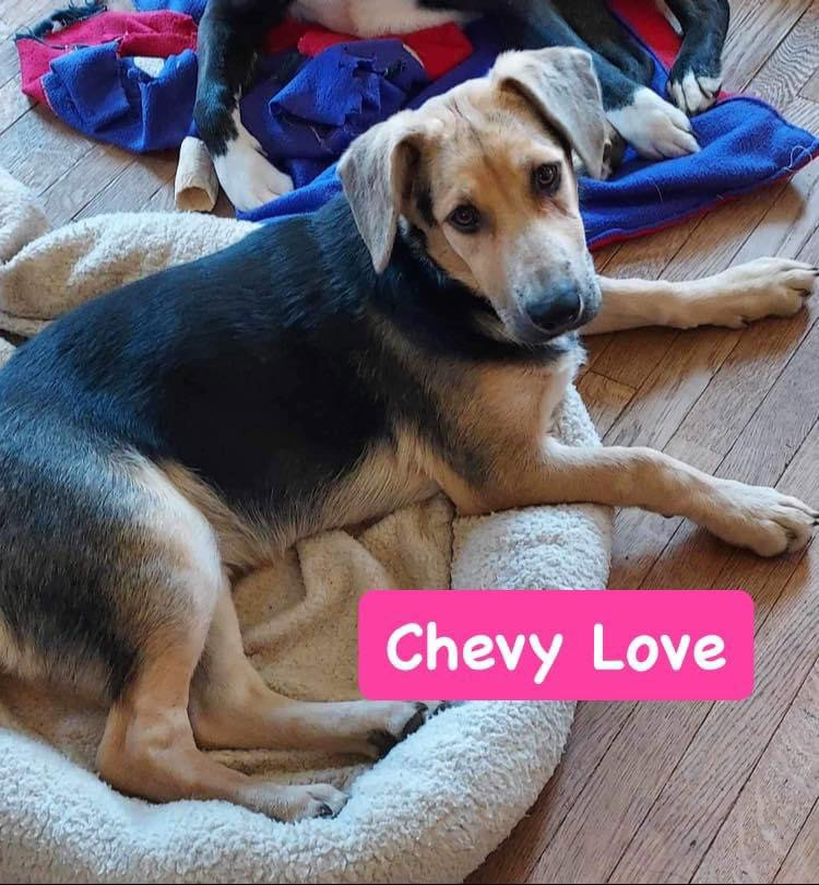Chevy Love's Web Page