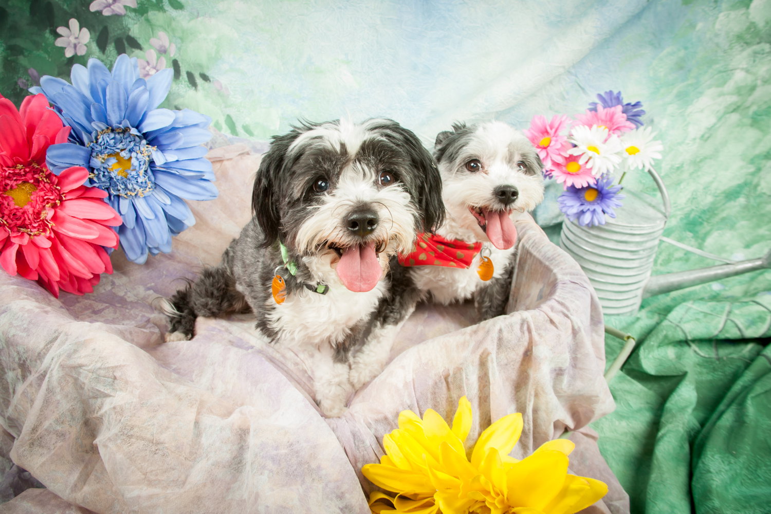 Betty & Rose Varner's Web Page