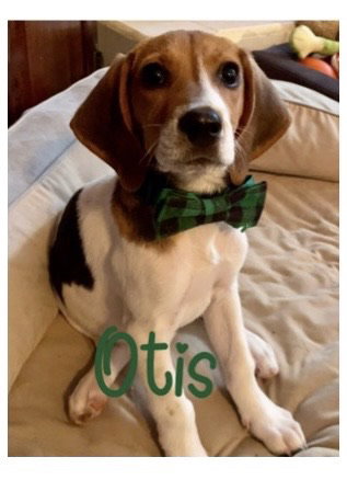 Otis IV's Web Page