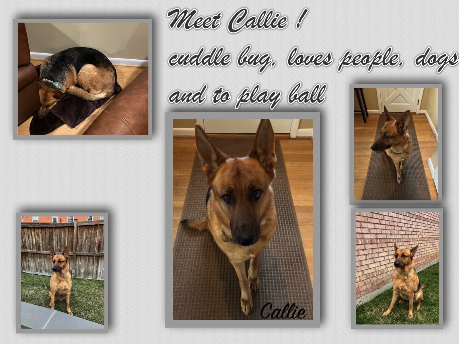 Callie's Web Page