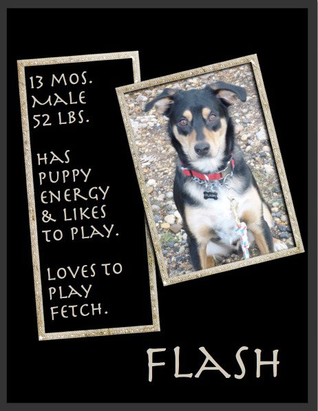 Flash