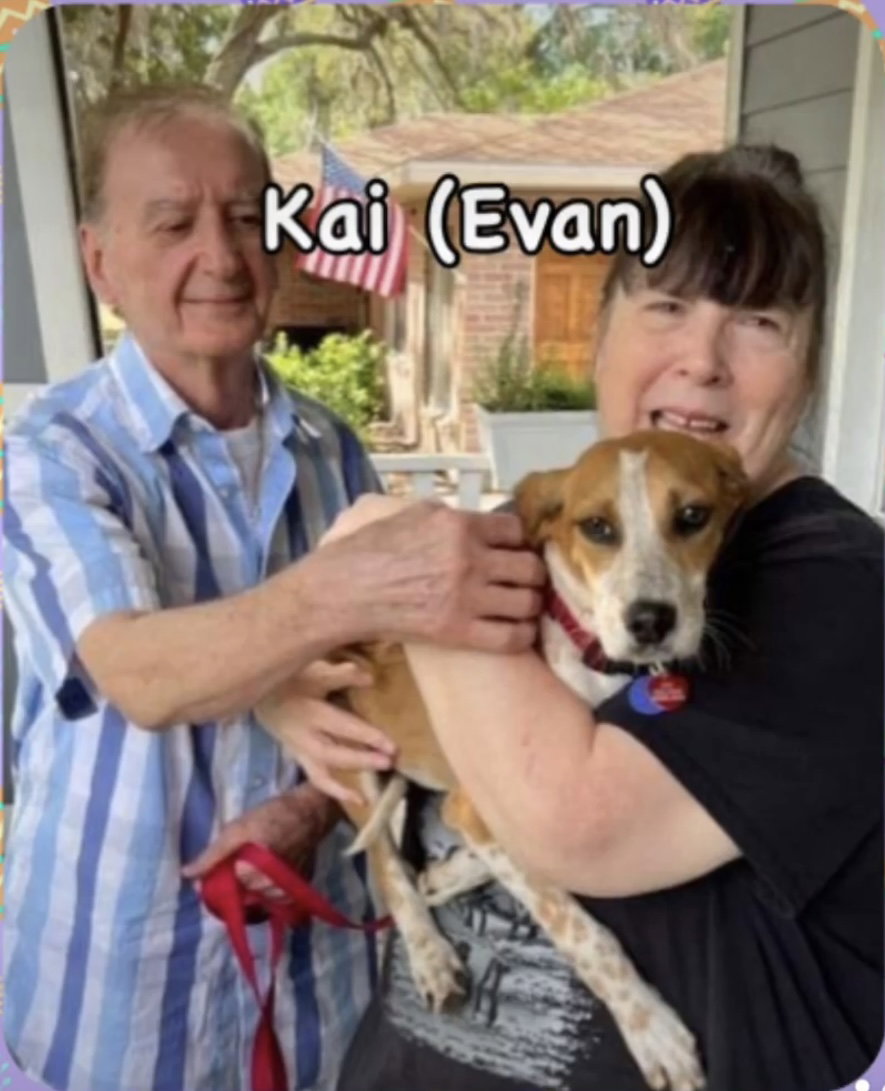 Evan's Web Page