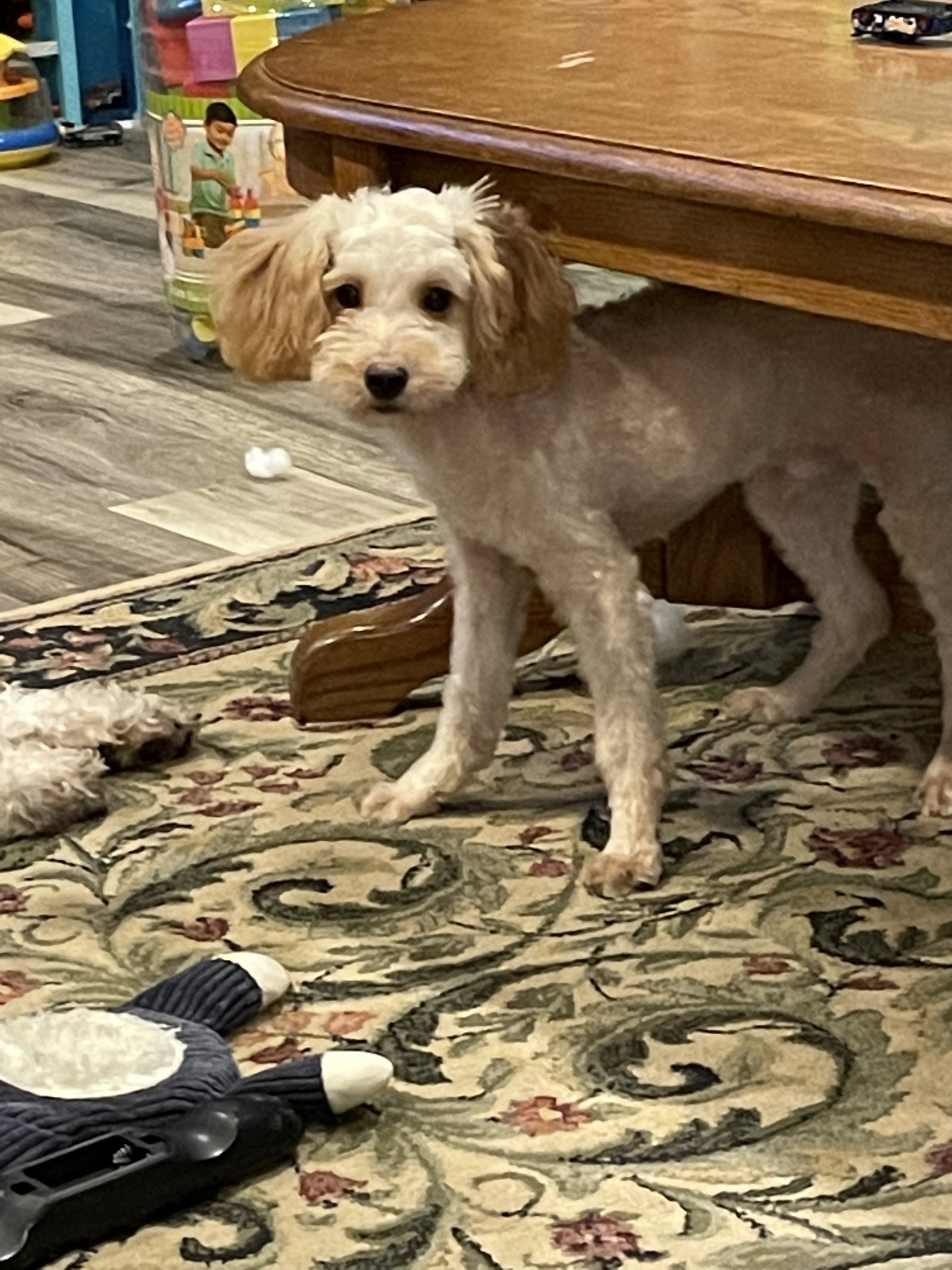 Nugget's Web Page