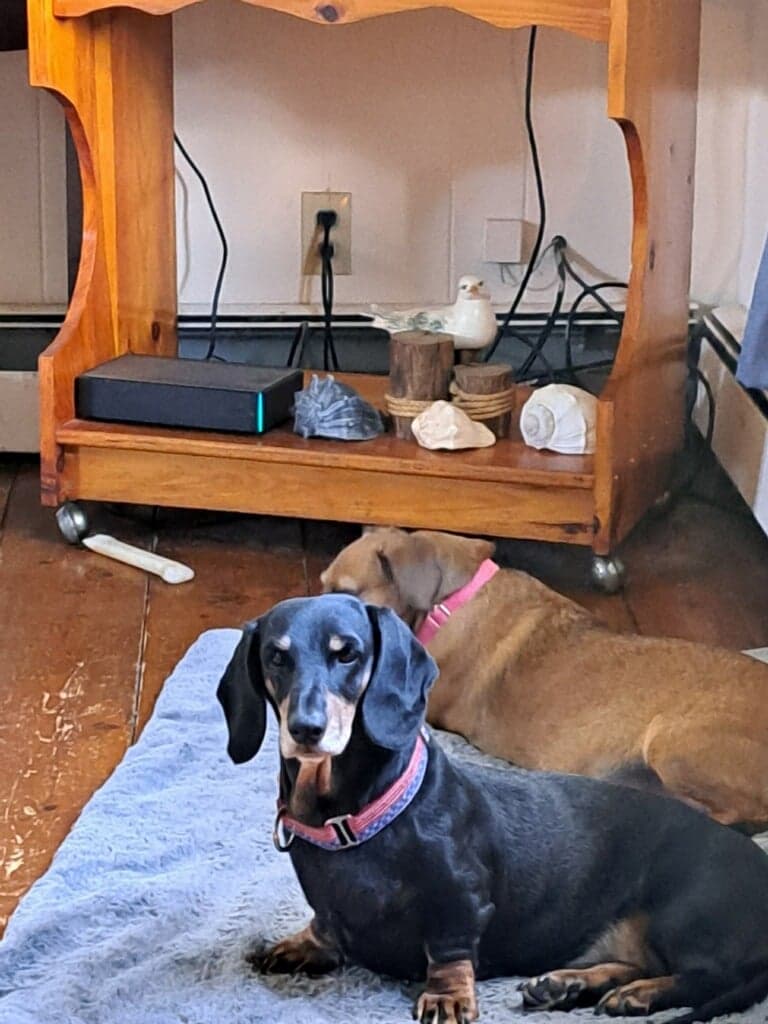Patsy's Web Page