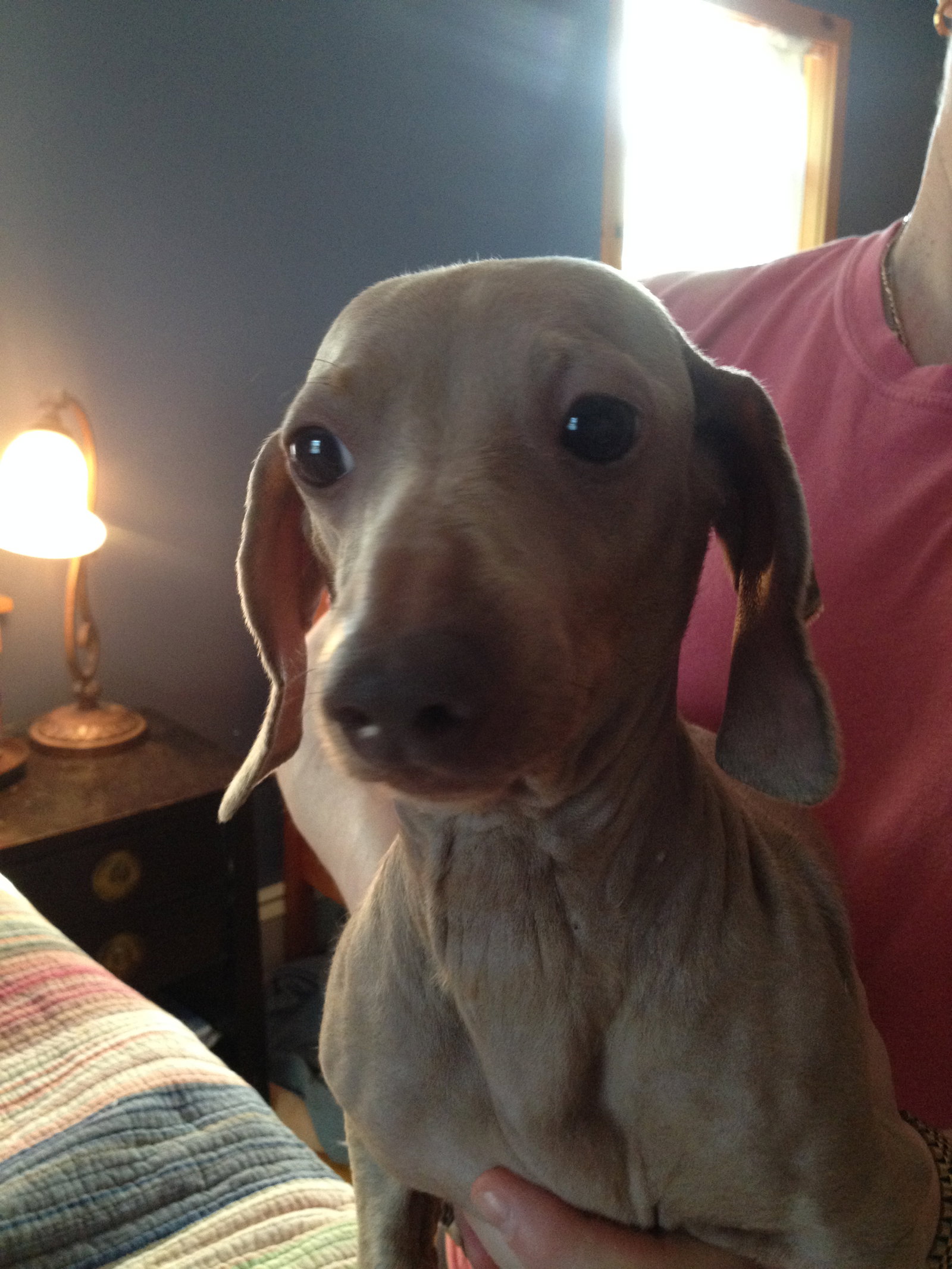Daisy's Web Page