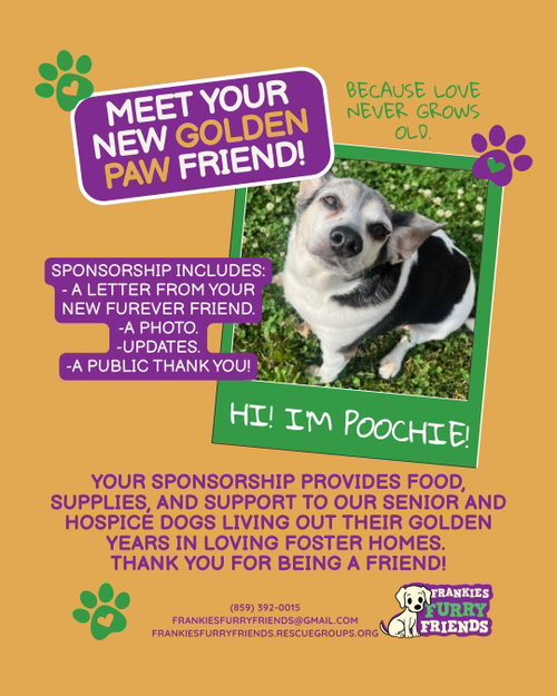 Poochie's Web Page