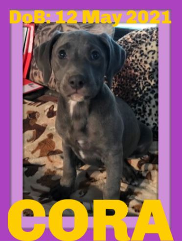 CORA's Web Page