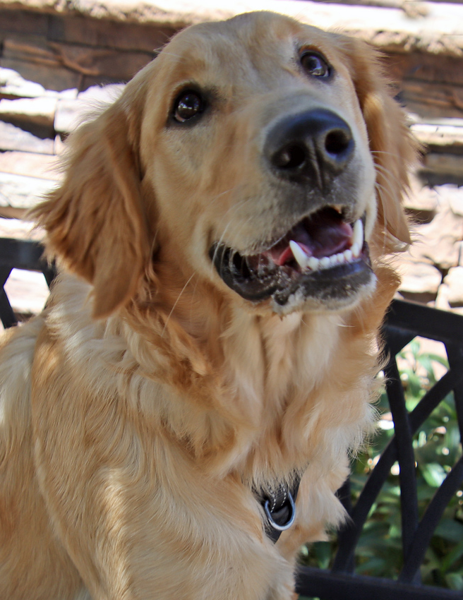 Charlie/Jackson's Web Page