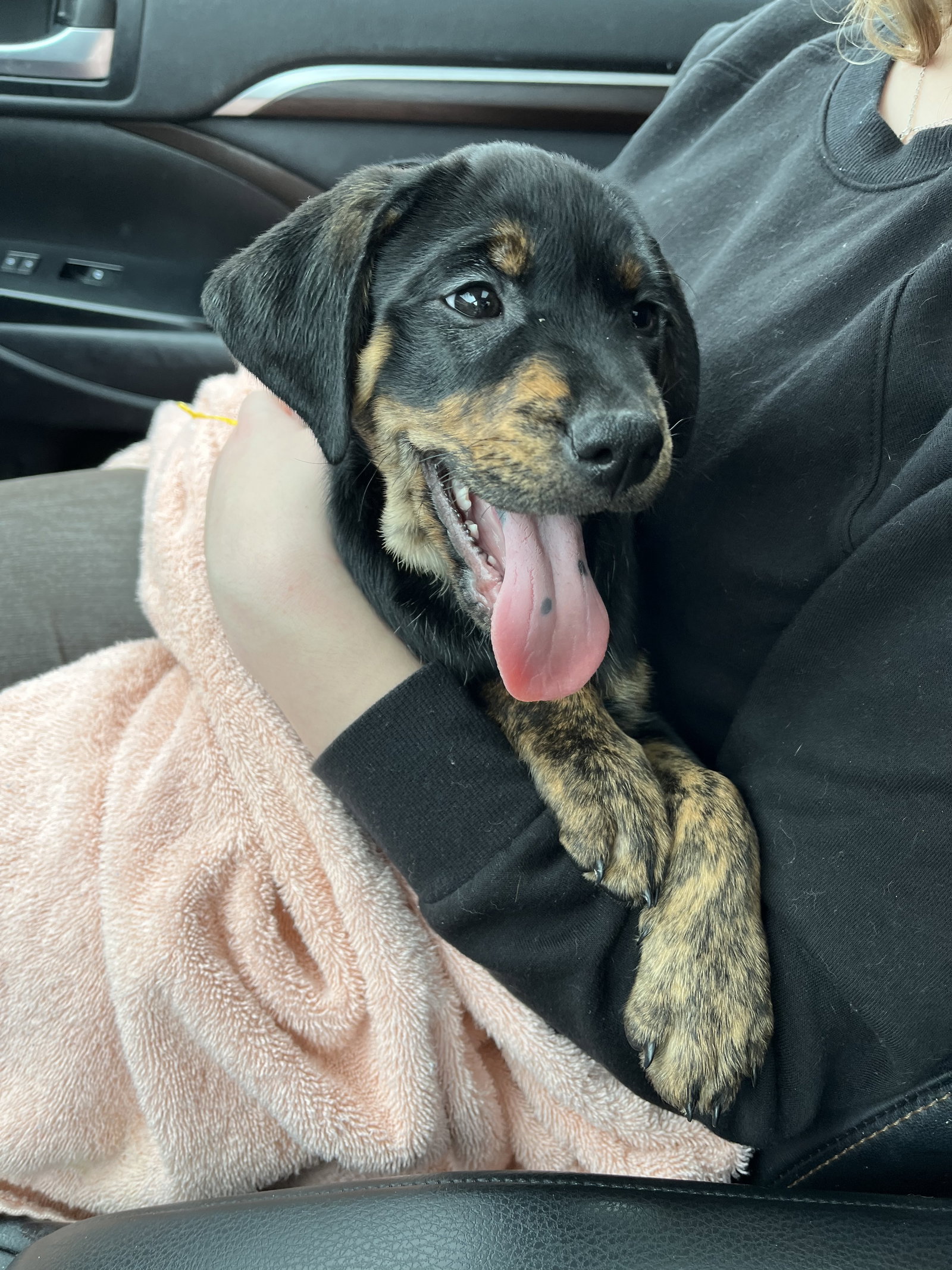 Clover (now Bogey)'s Web Page
