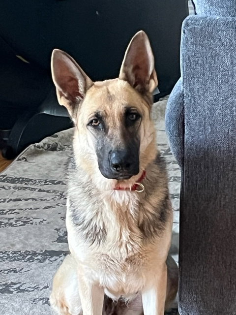 Nala 6504's Web Page