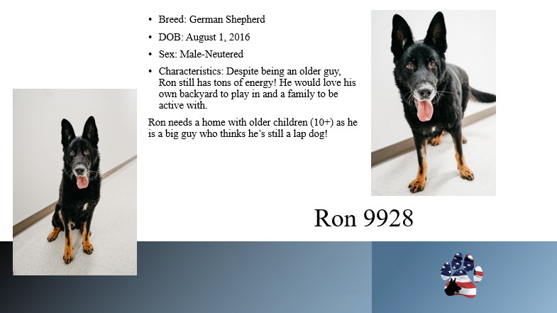 Ron 9928 (Courtesy Listing)'s Web Page