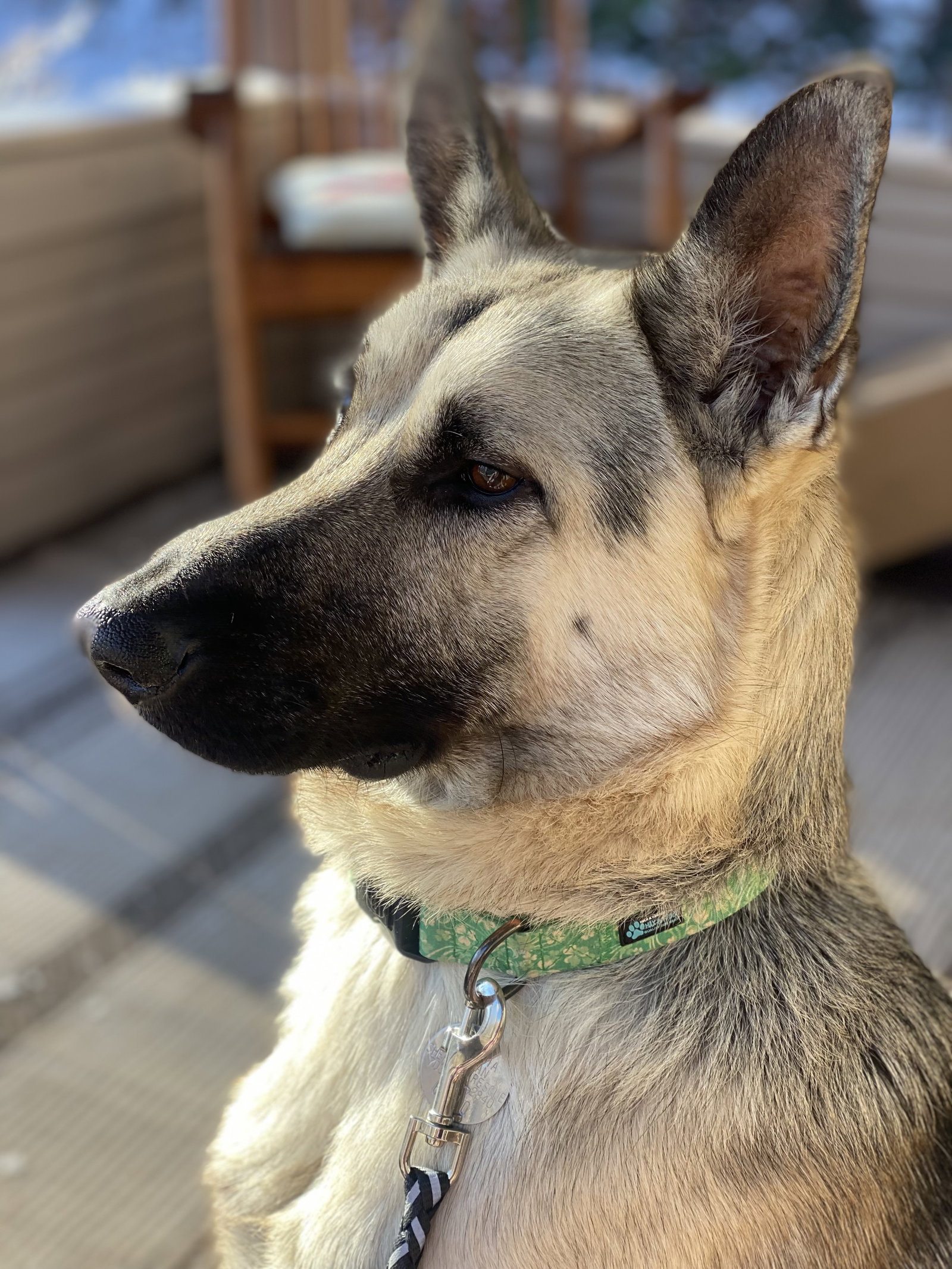 Boba Fetch 6520's Web Page