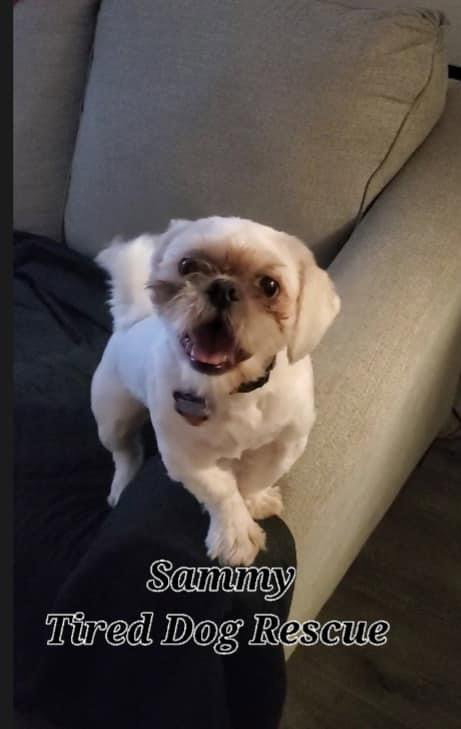 Sammy Jo's Web Page
