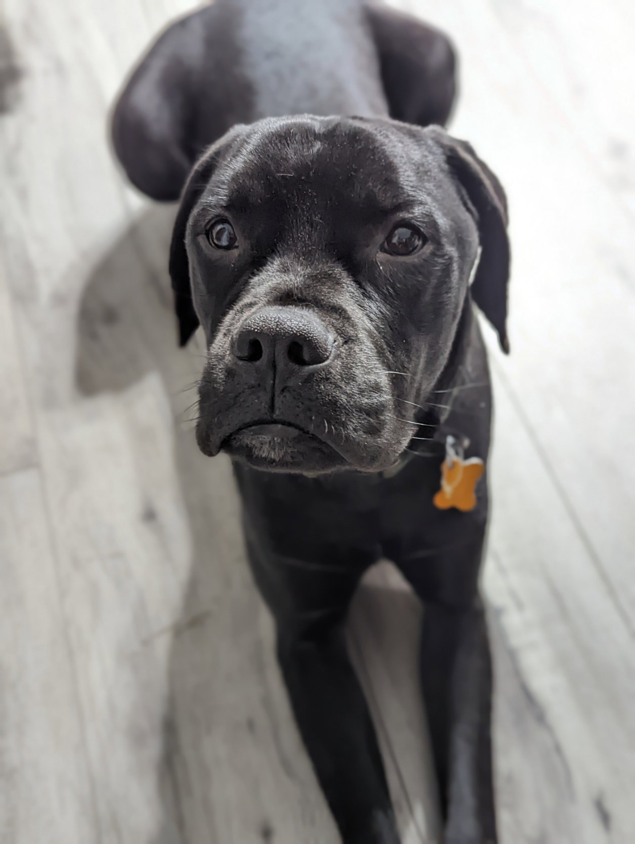 Brus' Web Page