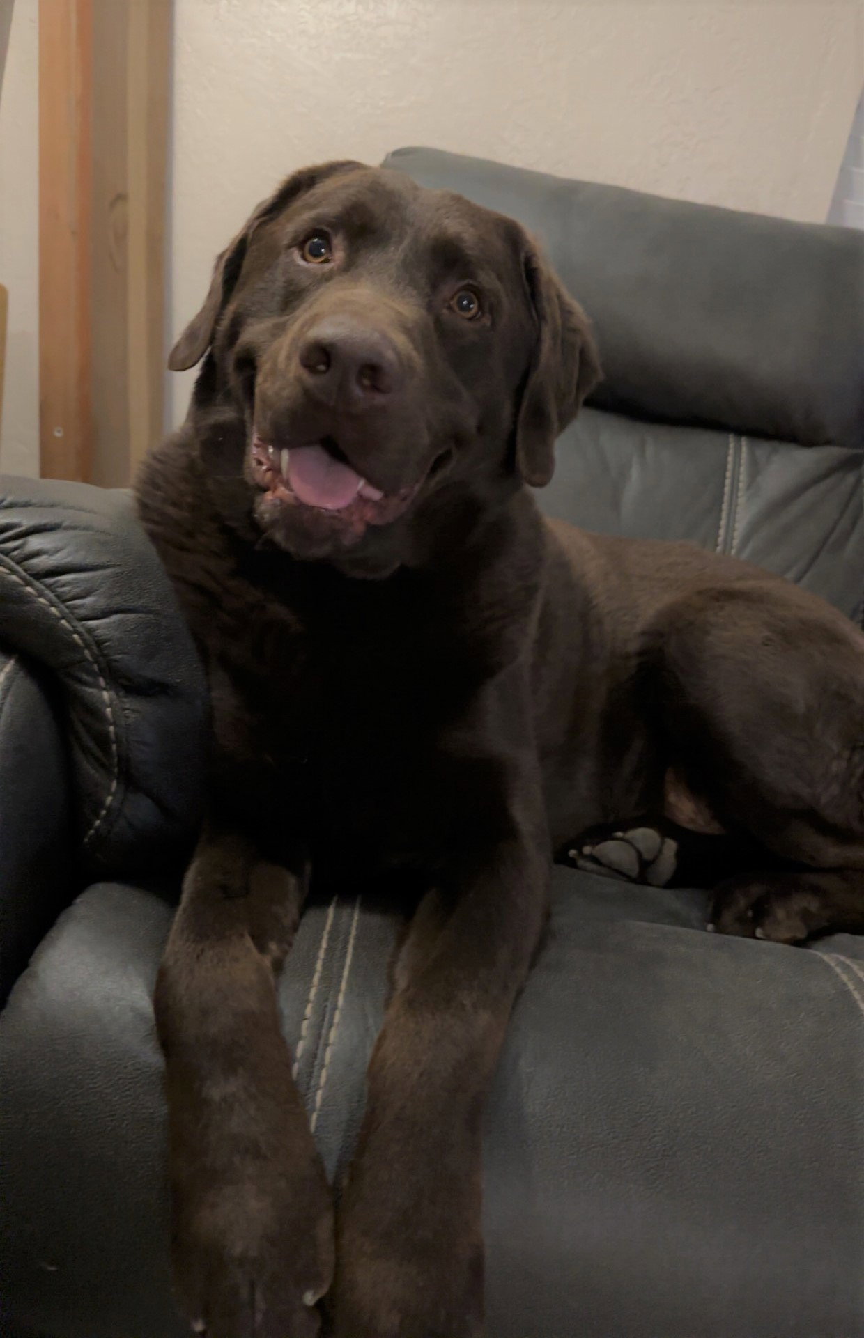 Coco Moose's Web Page
