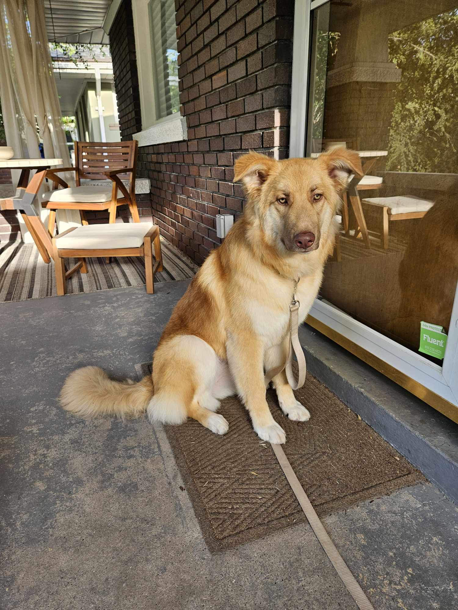 Maloo's Web Page