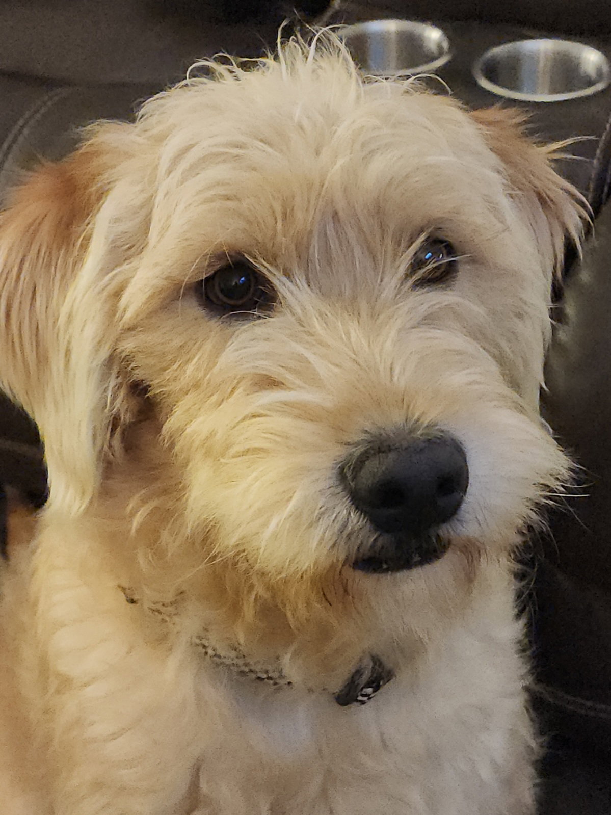 Duggie's Web Page