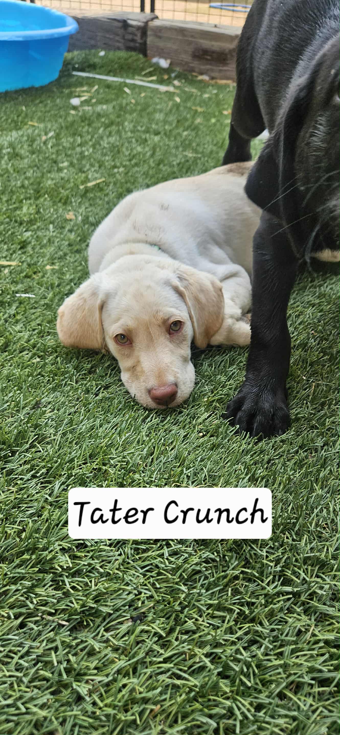 Tater Crunch's Web Page