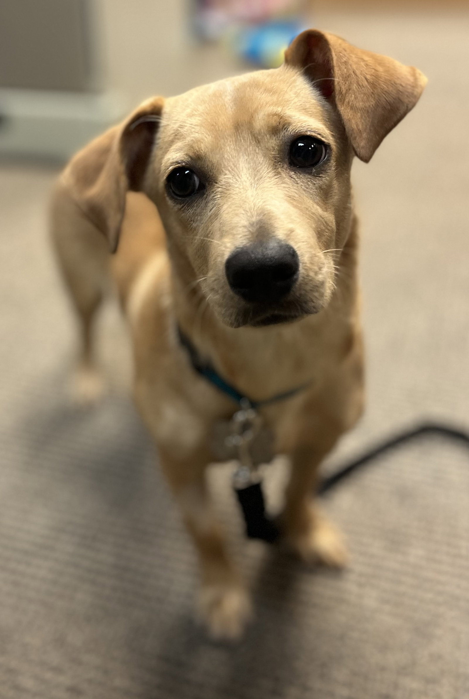 Murphy Oakley's Web Page